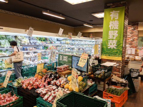 Plant Based Eating In Kyoto and Osaka, Japan. Our Culinary Adventure ...