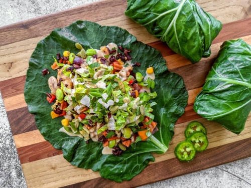 Earth Mama Plant Based Meal Plan - Plant Fueled Life