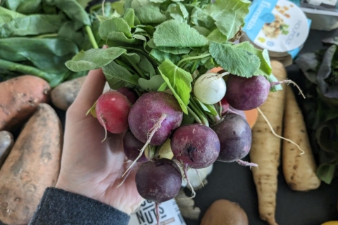 My Plant Based France Adventure: Part One | Molly Patrick