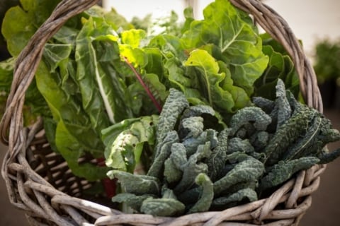 Dark Leafy Greens: Benefits, How to Cook, Store