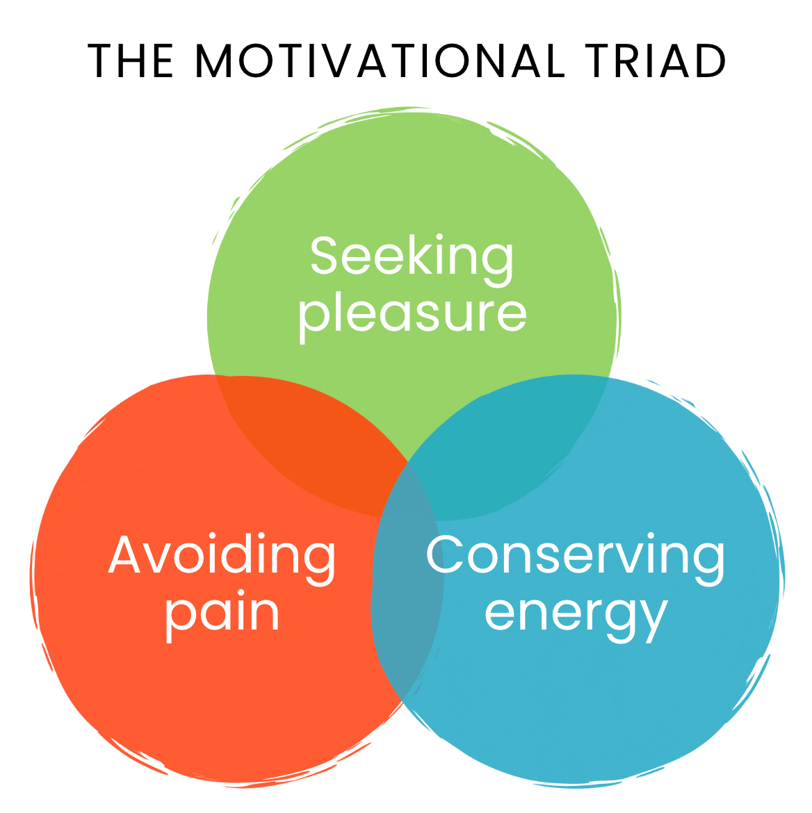 Using Our Time and Money to Support Our Health by Molly Patrick