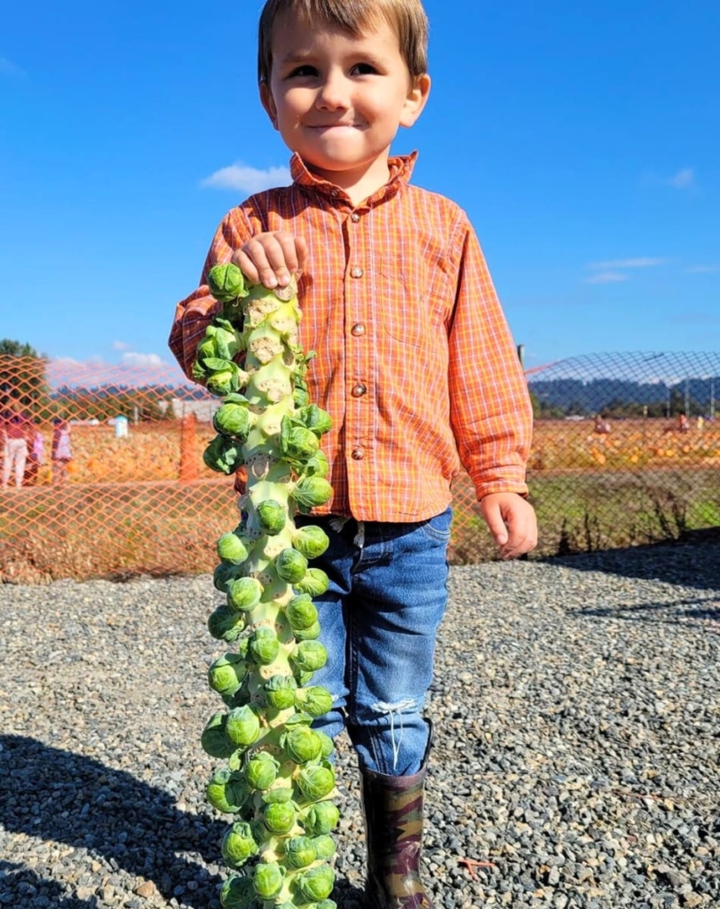 Planted in the Pacific Northwest | Planted Expo in Seattle | Clean Food ...