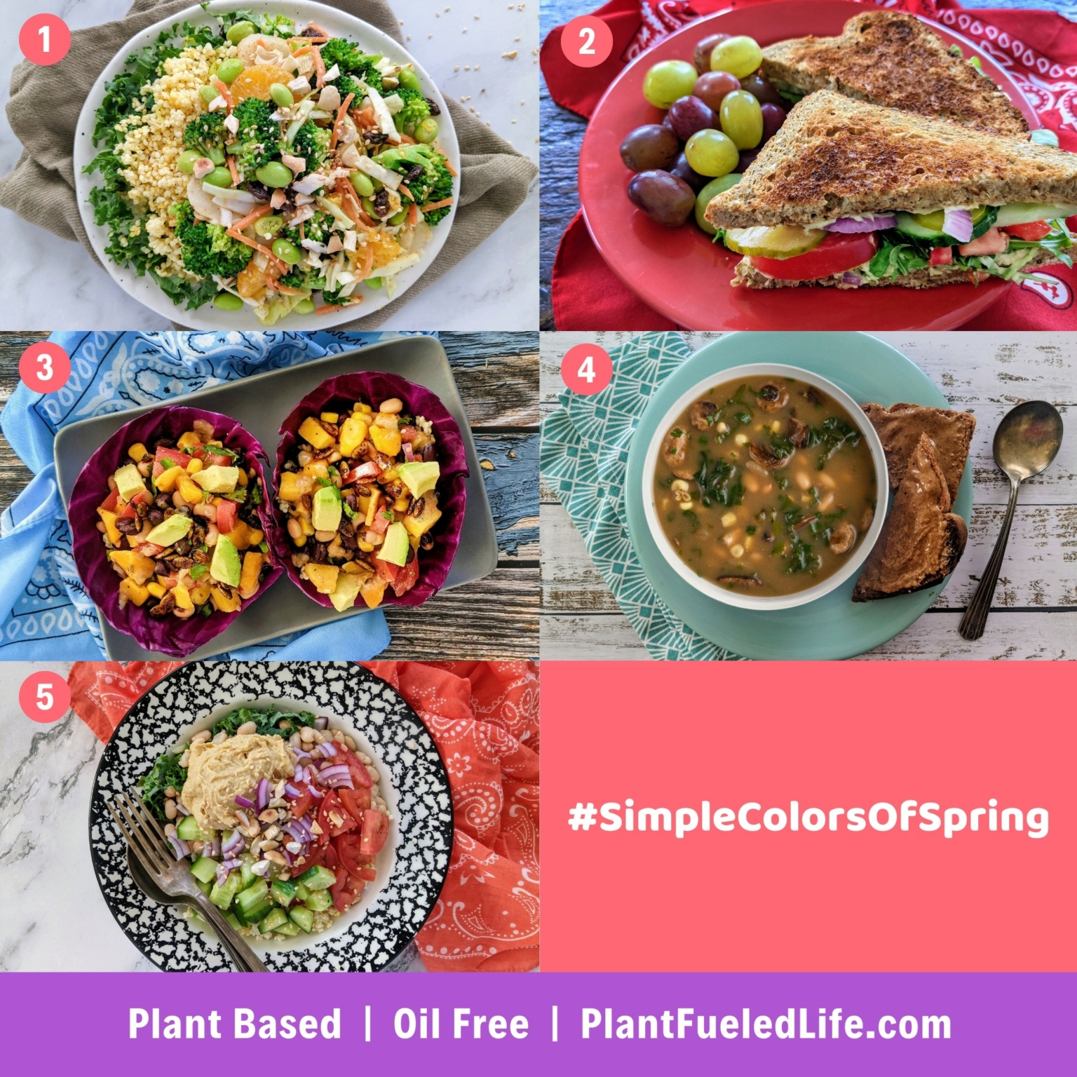 Colors of Spring | Plant Based Dinner Menu