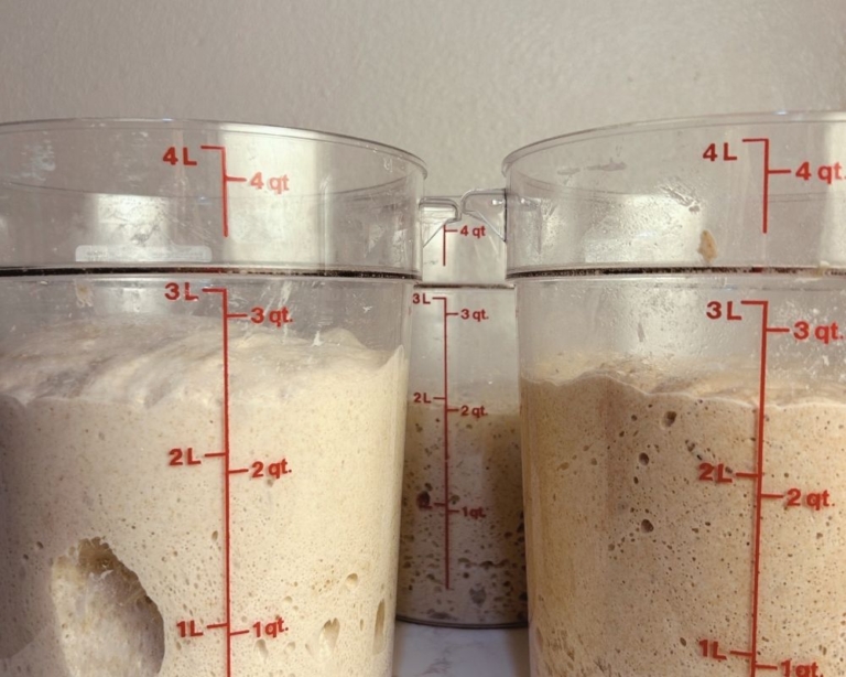 The Health Benefits of Long-Fermented Sourdough Bread | Clean Food ...